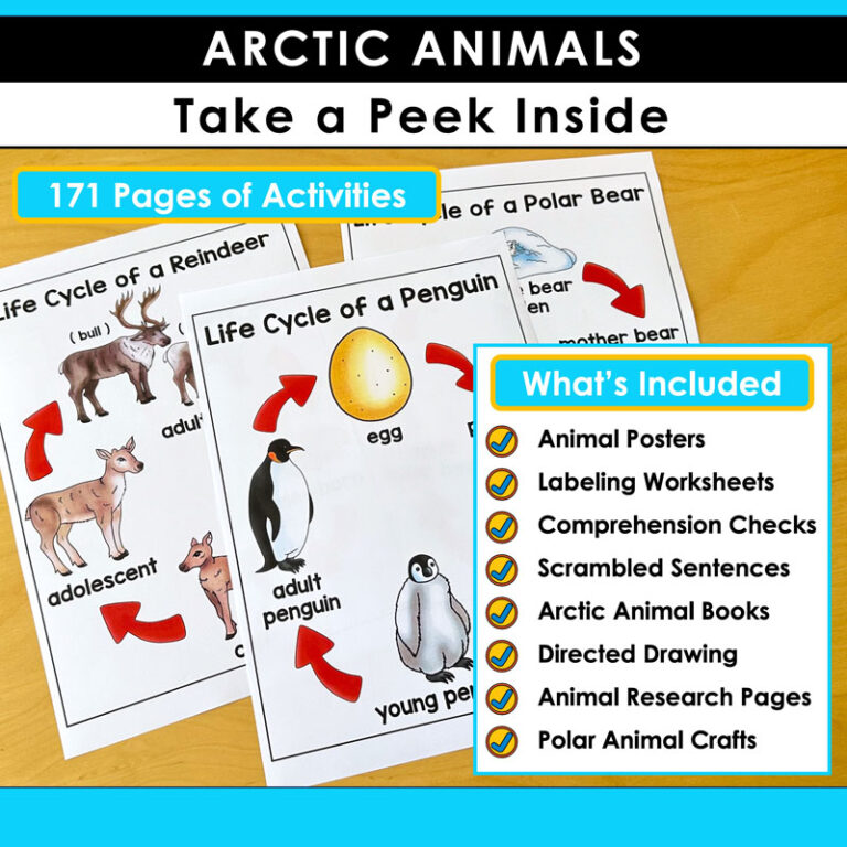 Arctic Animals Activities Packet - United Teaching