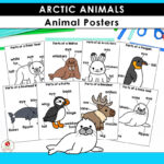 Arctic Animals Activities Packet - United Teaching