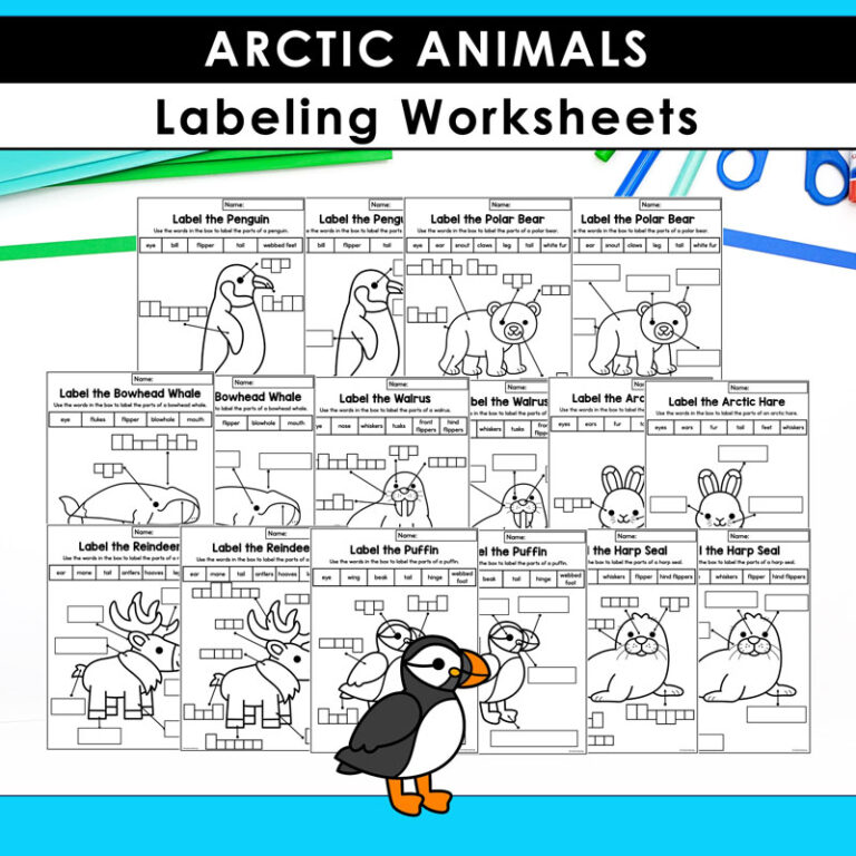 Arctic Animals Activities Packet - United Teaching