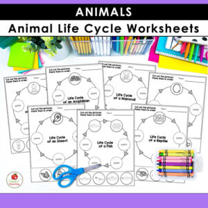 Animal Habitats Classification and Life Cycle Activities - United Teaching