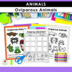 Animal Habitats Classification and Life Cycle Activities - United Teaching